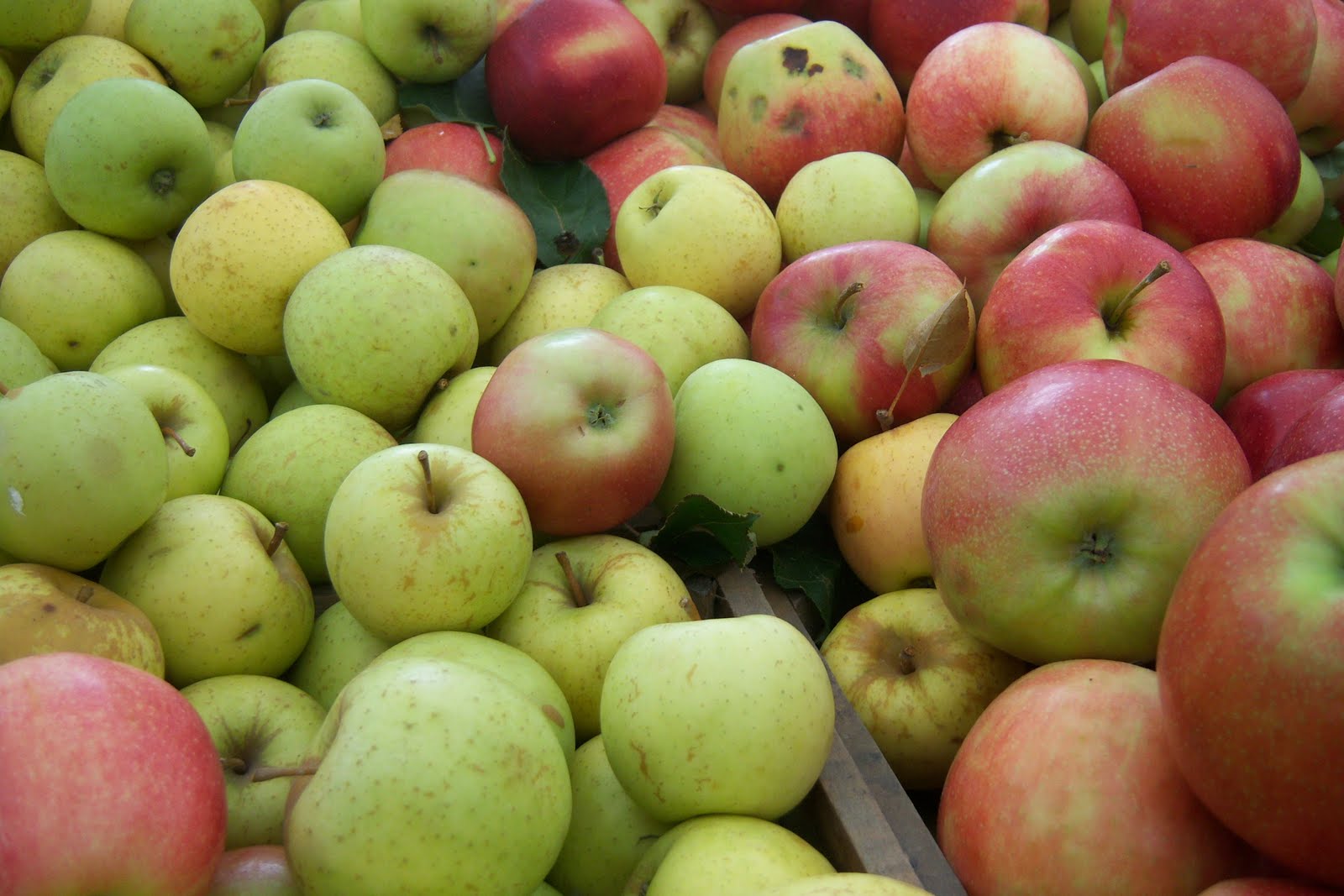 Less is Morbier: ingredient: APPLES