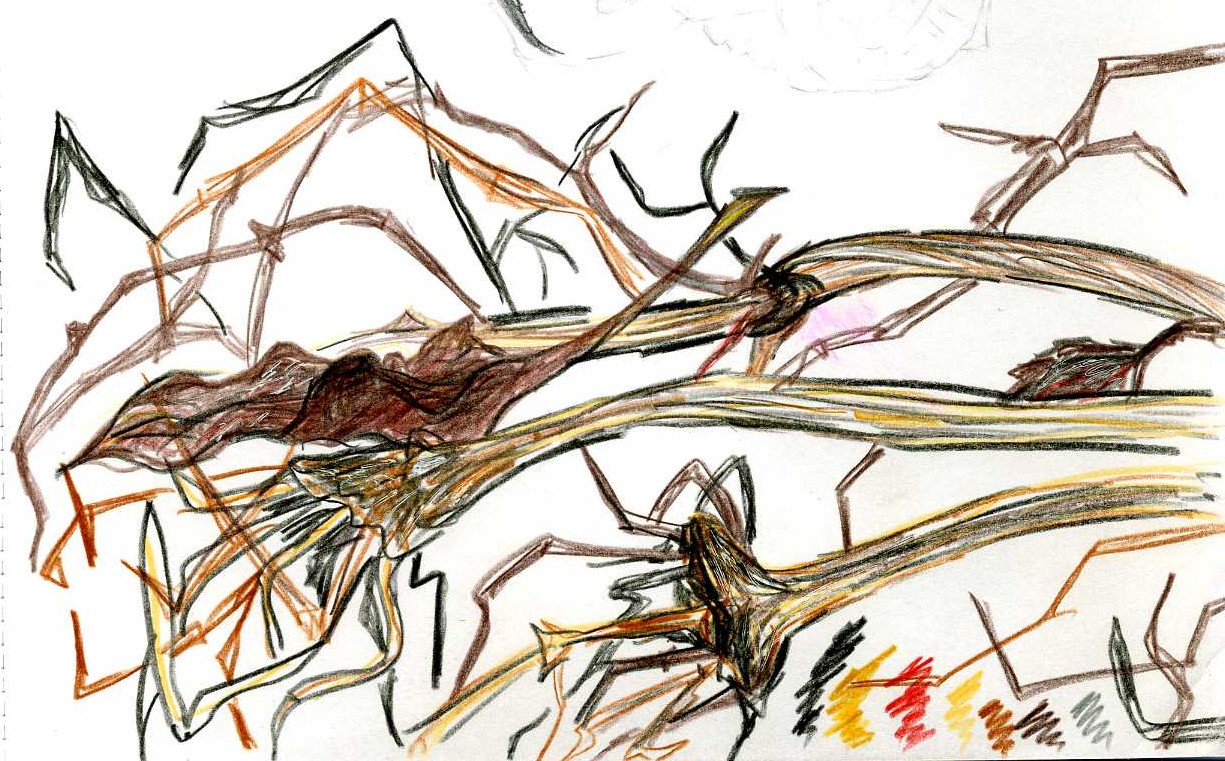 New Approach: Observational Drawing