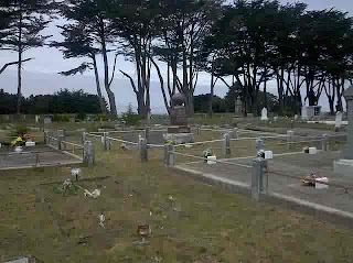 Tails of a Cemetery Bunny