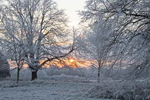 PETER'S LANDSCAPES: Winter Frost