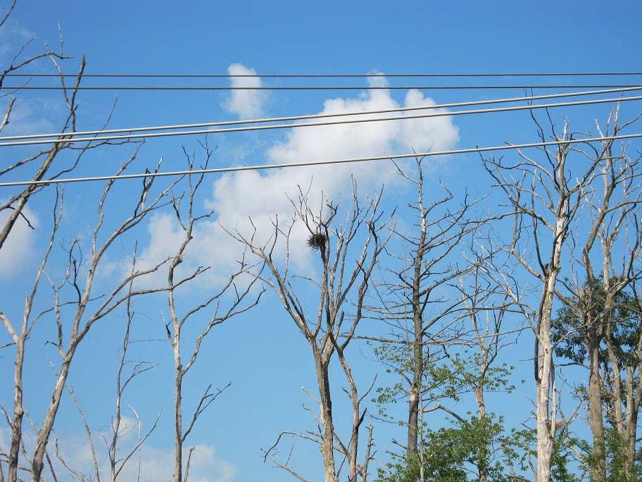 Kayak The Merrimack: Spicket River Kayak Trip- Methuen MA to Salem NH