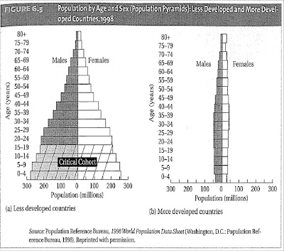 Contracting Population Pyramid - LEGIMIN SASTRO
