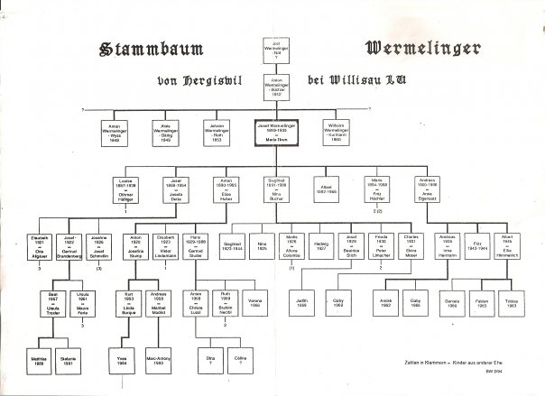 Família Wermelinger: Wermelinger Family Tree 1812