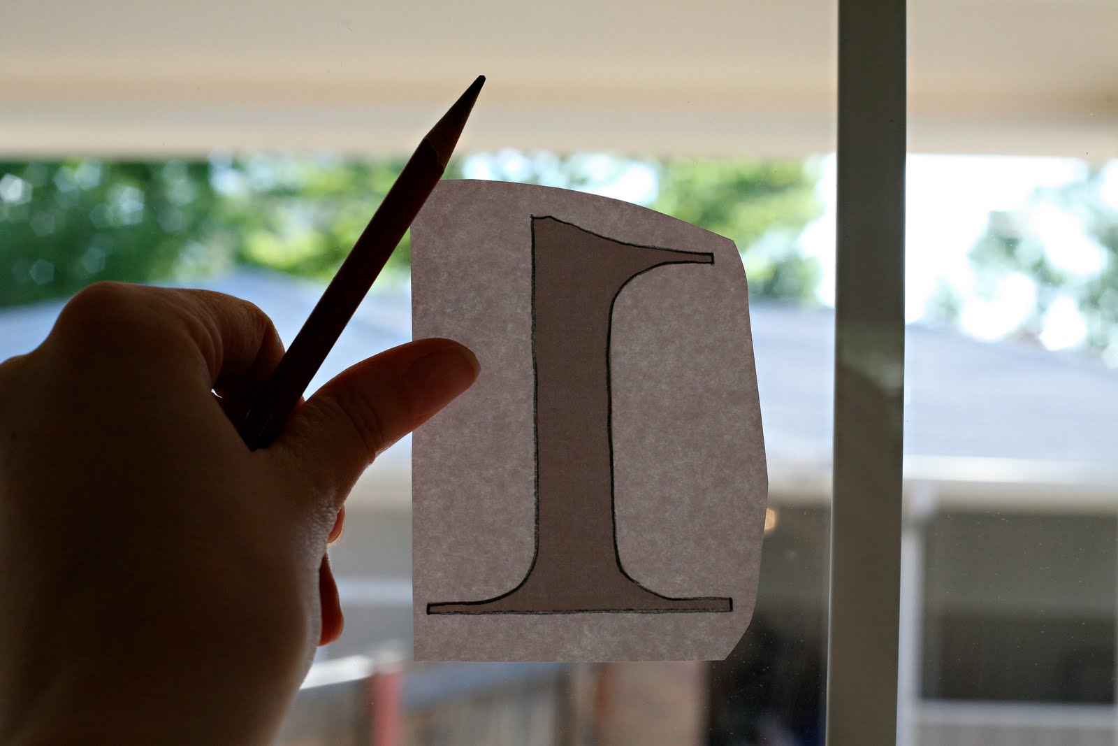 Snapshots of Life: The Painted Plate