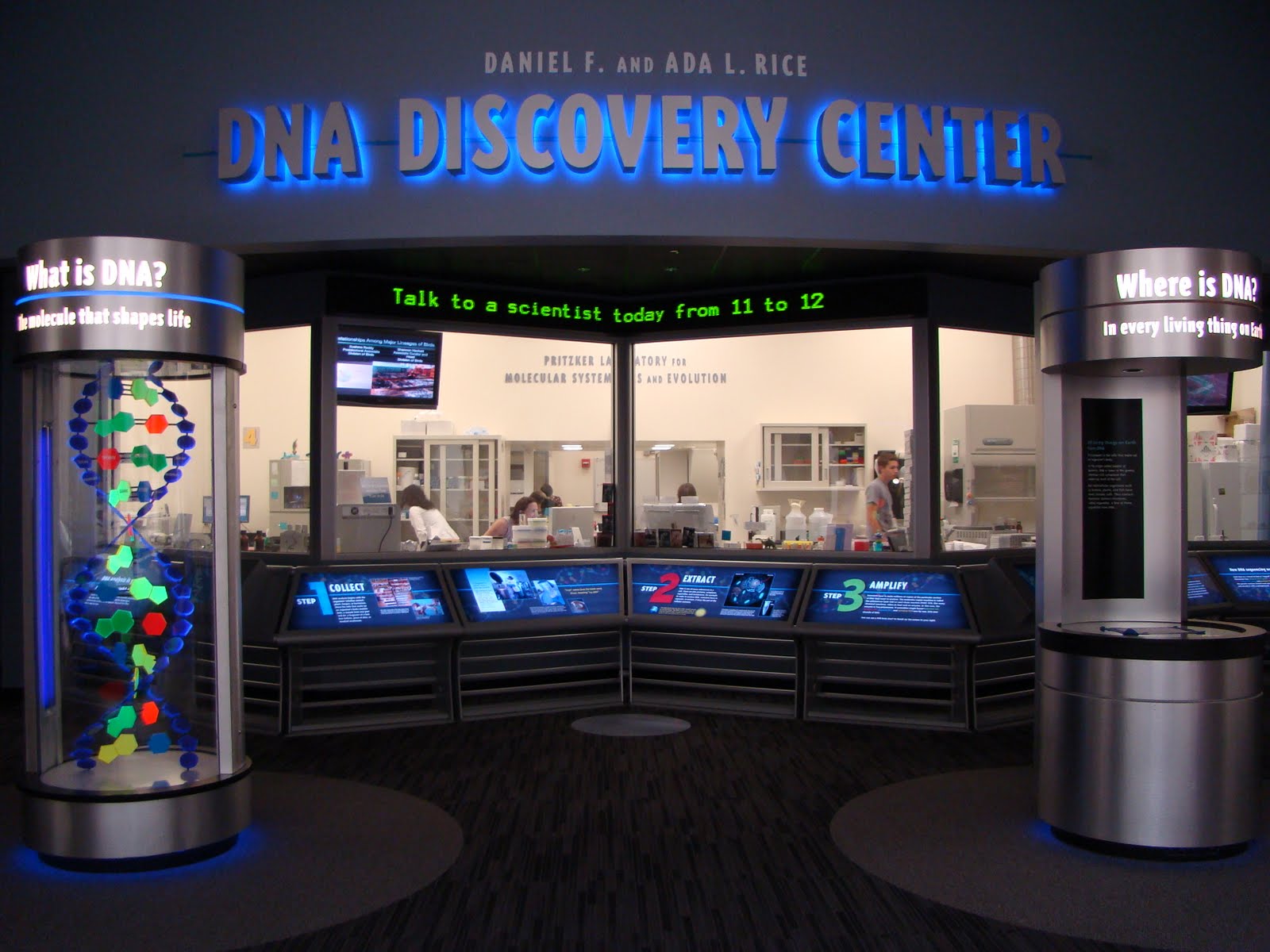 THE LIFE OF A DNA INTERN: Welcome to the Pritzker Lab!