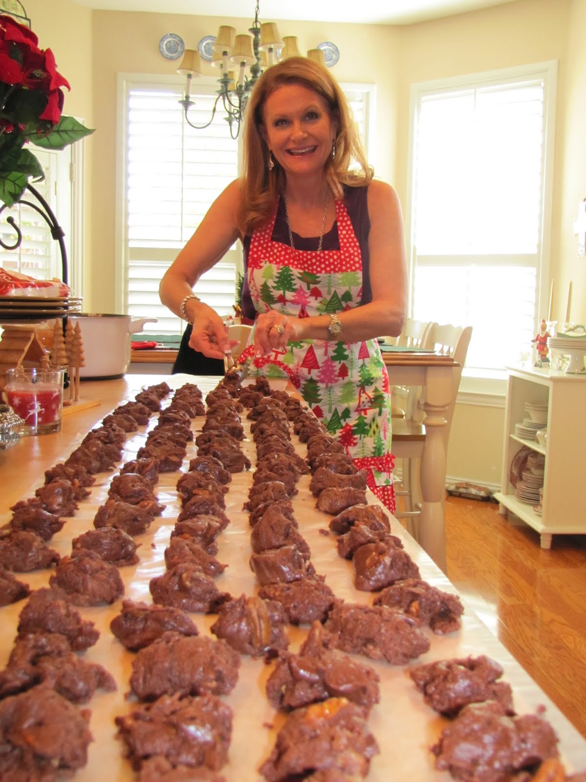 I choose joy!: Dixie's Fudge and Spritz cookie recipes!