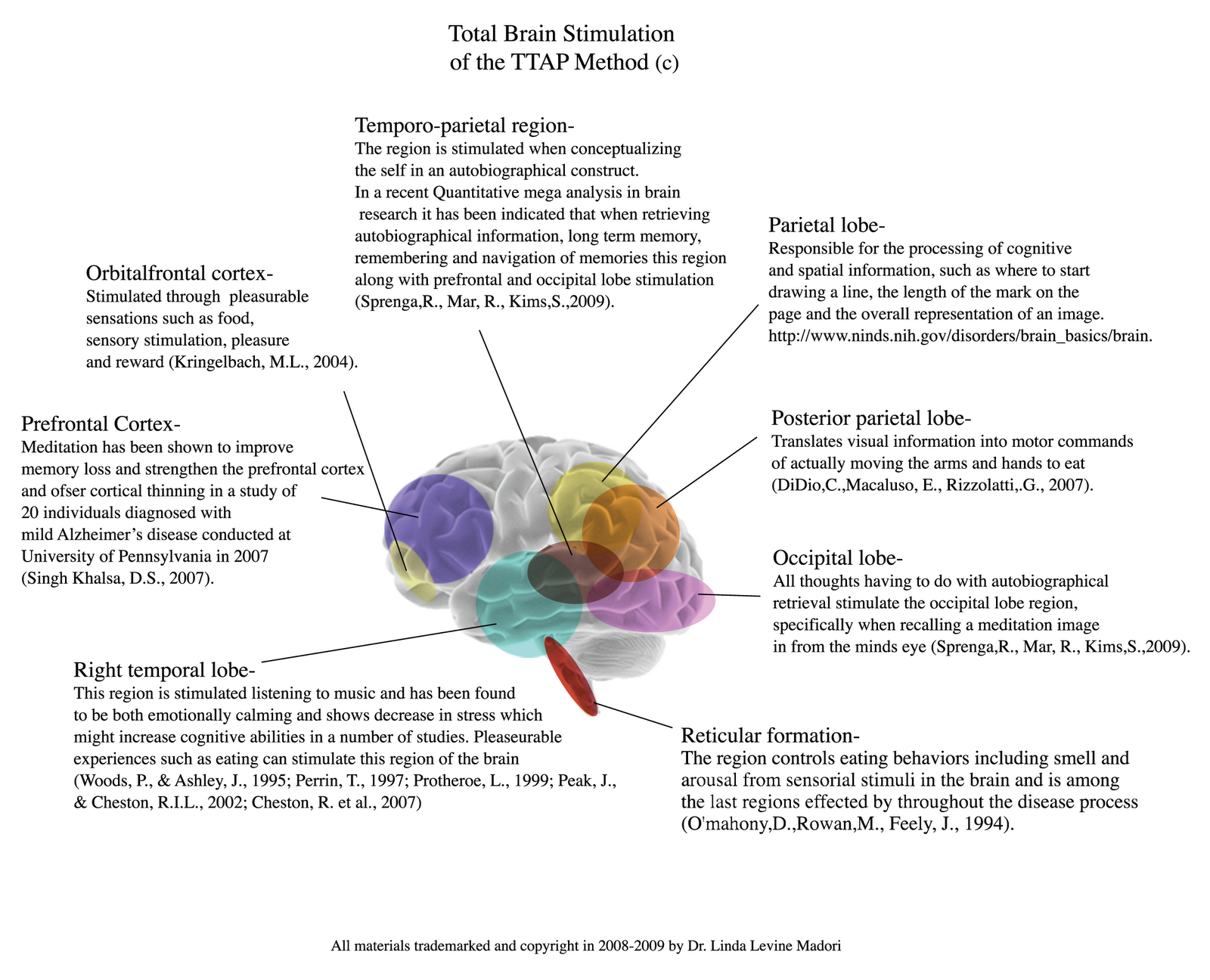 The TTAP Method© Today: TTAP Method(TM) Certification Course in Chicago ...