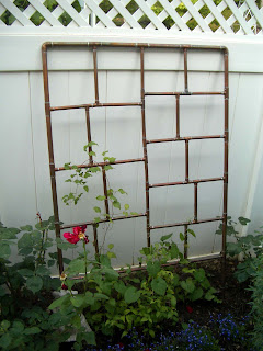 Z-cook: Copper Trellis