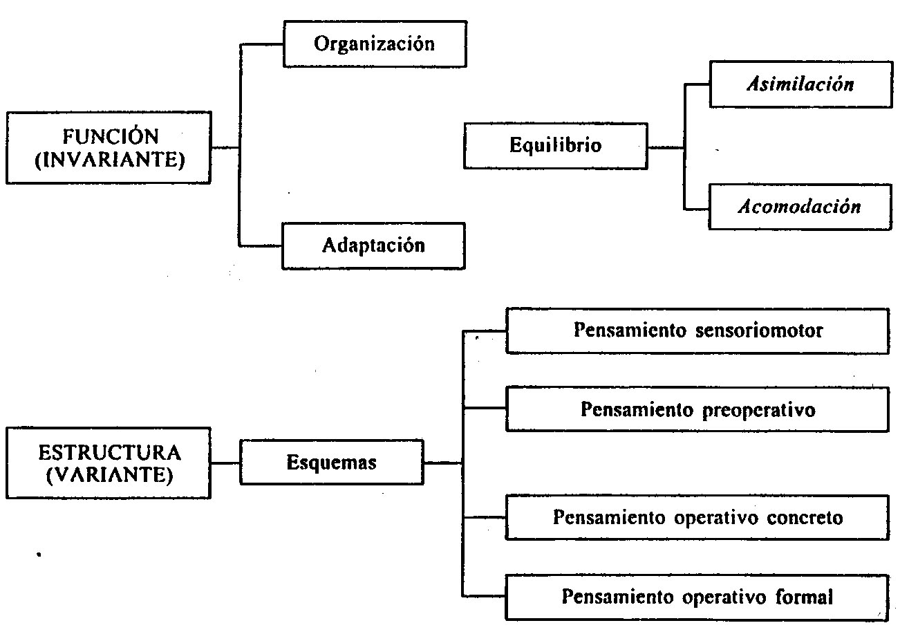 Tecnicas de Estudio: Esquema