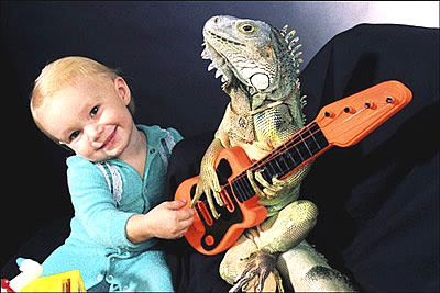 Calango Lango - Recomendado Pelos Animais: Sessão De Fotos Do Calango