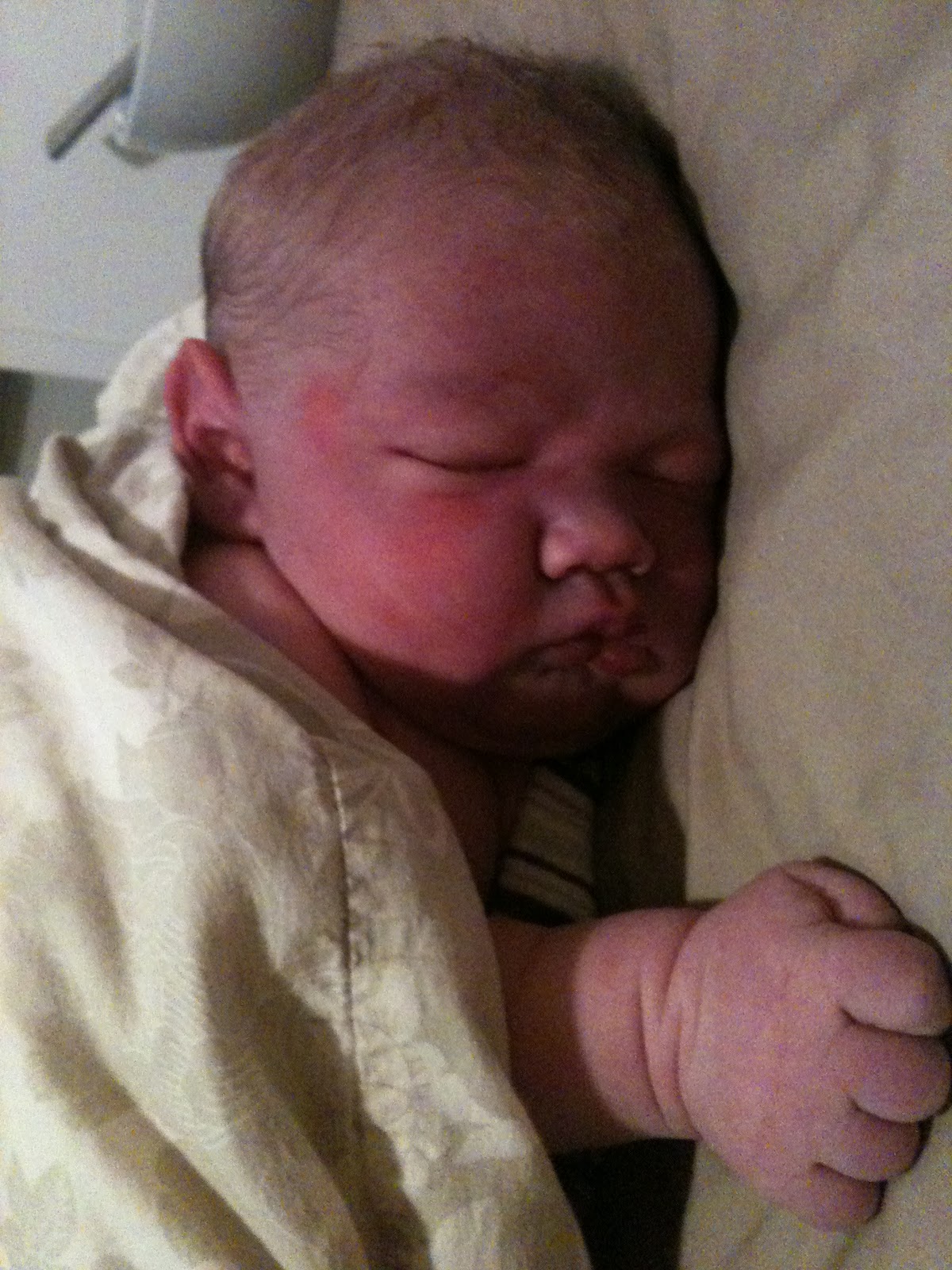 Homestead Mama: The Birth of Baby Brother