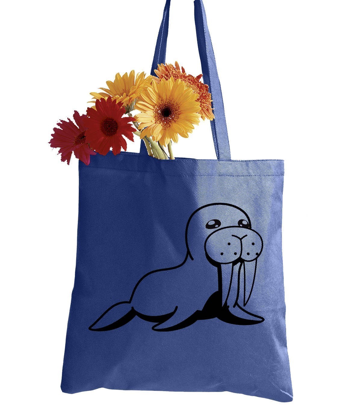 The Lunatic & The Swan: Walrus Wedding