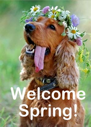 Mickey's Pet Supplies Blog: Welcome Spring!