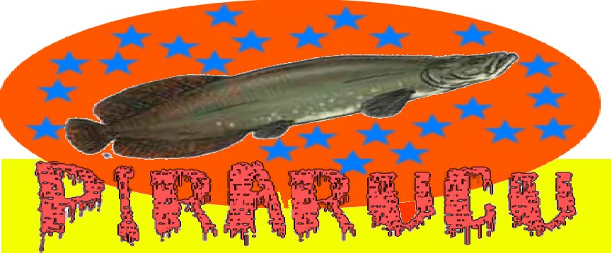 PIRARUCU COMÉDIA: PIRARUCU COMEDIA - PINGA NICÚ