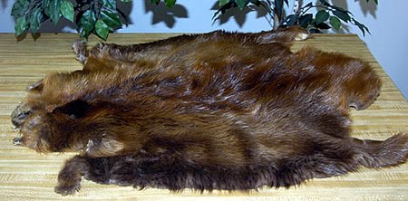 The Pacific Fur Company