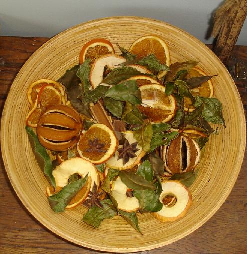 Predator Haven: POTPOURRI