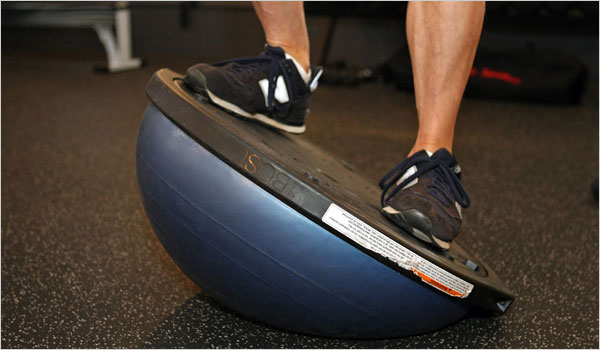 Predator Haven: BALANCE TRAINING