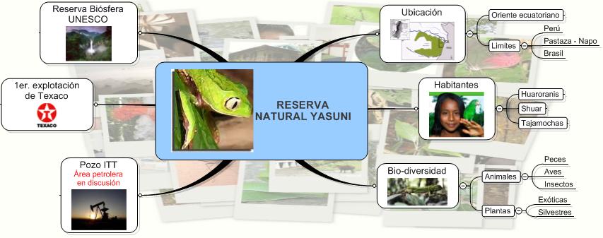 Alba Alarcón: Mapa Conceptual de Yasuní y Helsinki