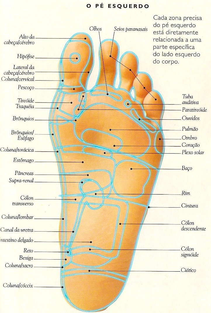 Reflexologia Brasília / Reflexology Brasilia / Reflexzonenmassage ...