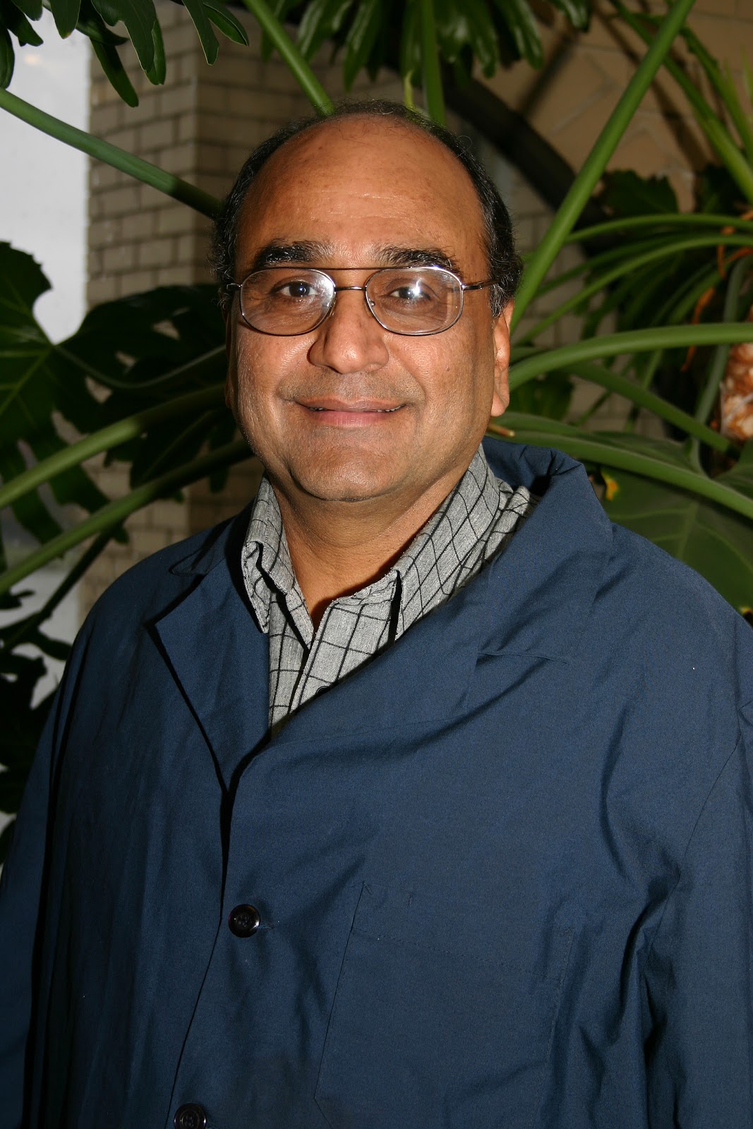 LMC's Dr. Bal Barot: Fulbright Scholar in India: From Benton Harbor to ...