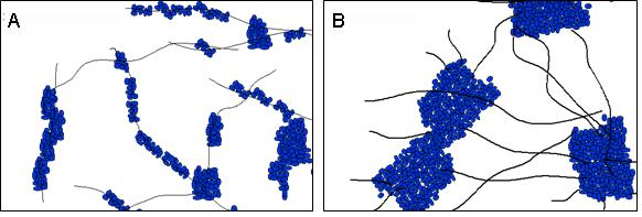 Saneamiento De Aguas Residuales