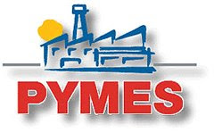 Administracion Pyme: PYMES---DEFINICION---DEBERES FORMALES