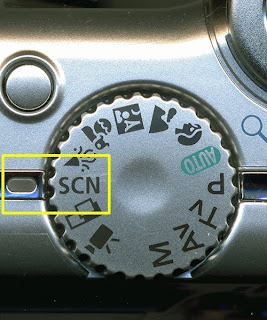 Use Scene Settings for Better Pictures