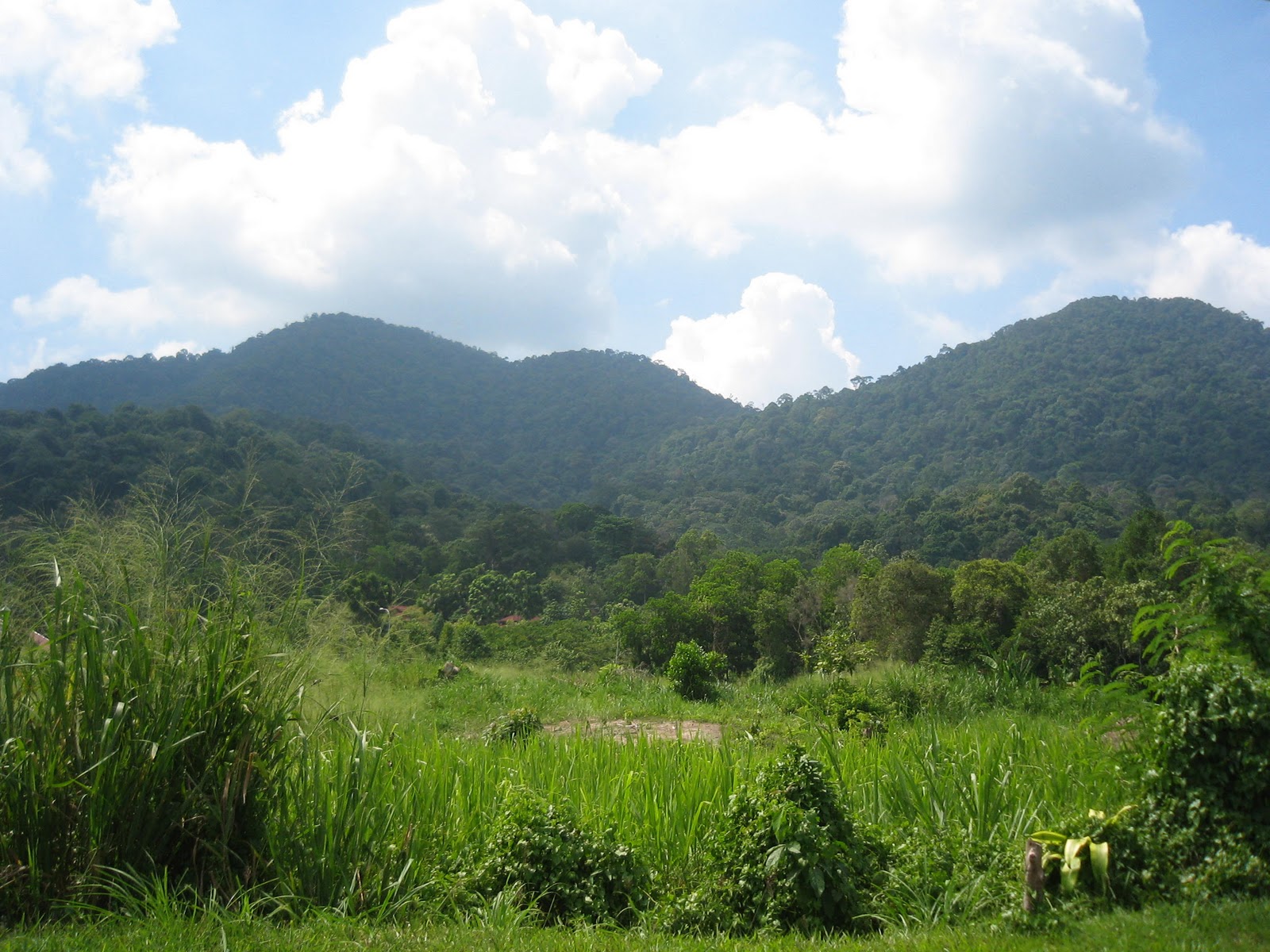 SelatanSelat: Gunung Lambak