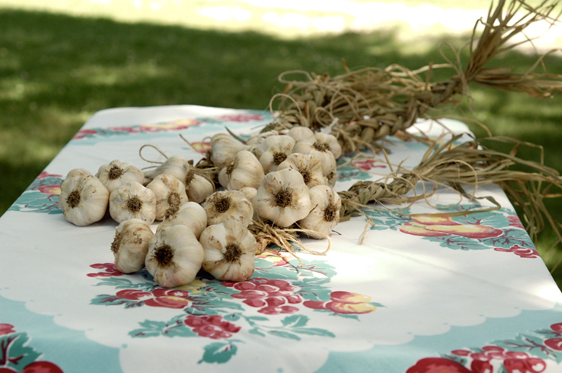 synch-ro-ni-zing: Ode to Garlic