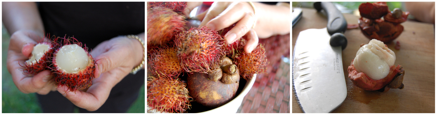 synch-ro-ni-zing: Farm Day(s) 2010