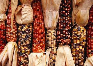 BIOL2007, Advances in Genetics - 2007: Feeling our way through the ...