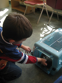 The Bough Family Homeschool: Play With Me