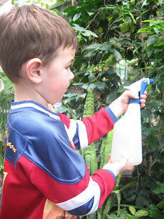 The Bough Family Homeschool: Play With Me