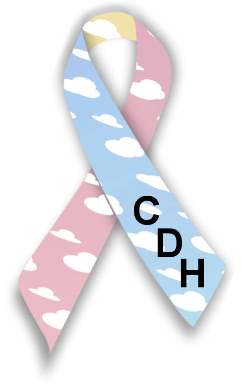 Congenital Diaphragmatic Hernia: Please Support "Real Hope for CDH" in ...