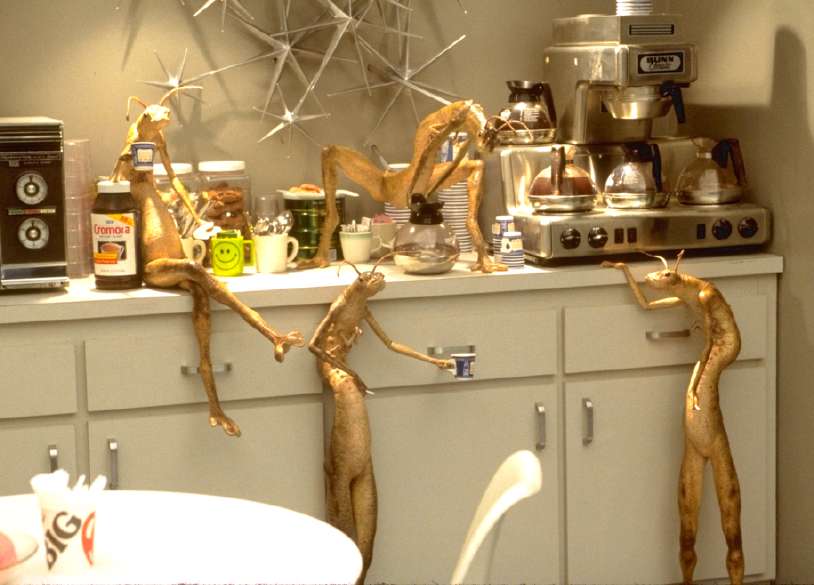 Manado & Bunaken Island Life: Skeleton Shrimp or The Worms from MIB 2