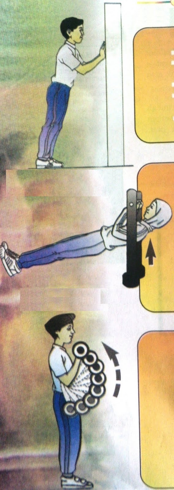 info pendidikan jasmani kesihatan: jenis latihan membina kekuatan otot