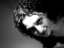 welcome [lianidesign.blogspot.com]