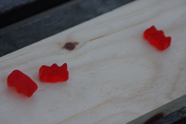 It's a mad, mad, mad, mad world: Exploding gummy bears