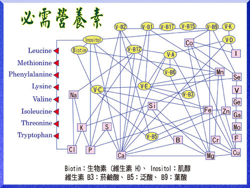 Cell Nutrition 细胞营养: 细胞营养1