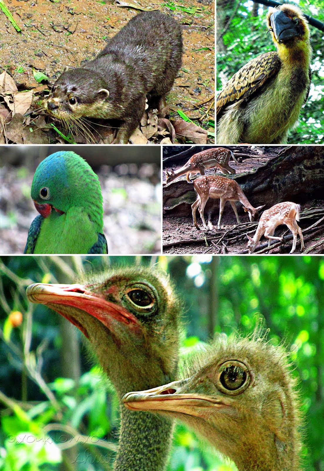 Travel Asia: A Short Weekend in Subic, Philippines - Part 2