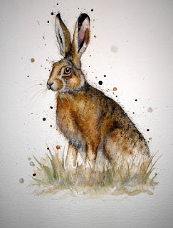 Sam Harvey - Wildlife Artist and Illustrator: Portrait of a Hare
