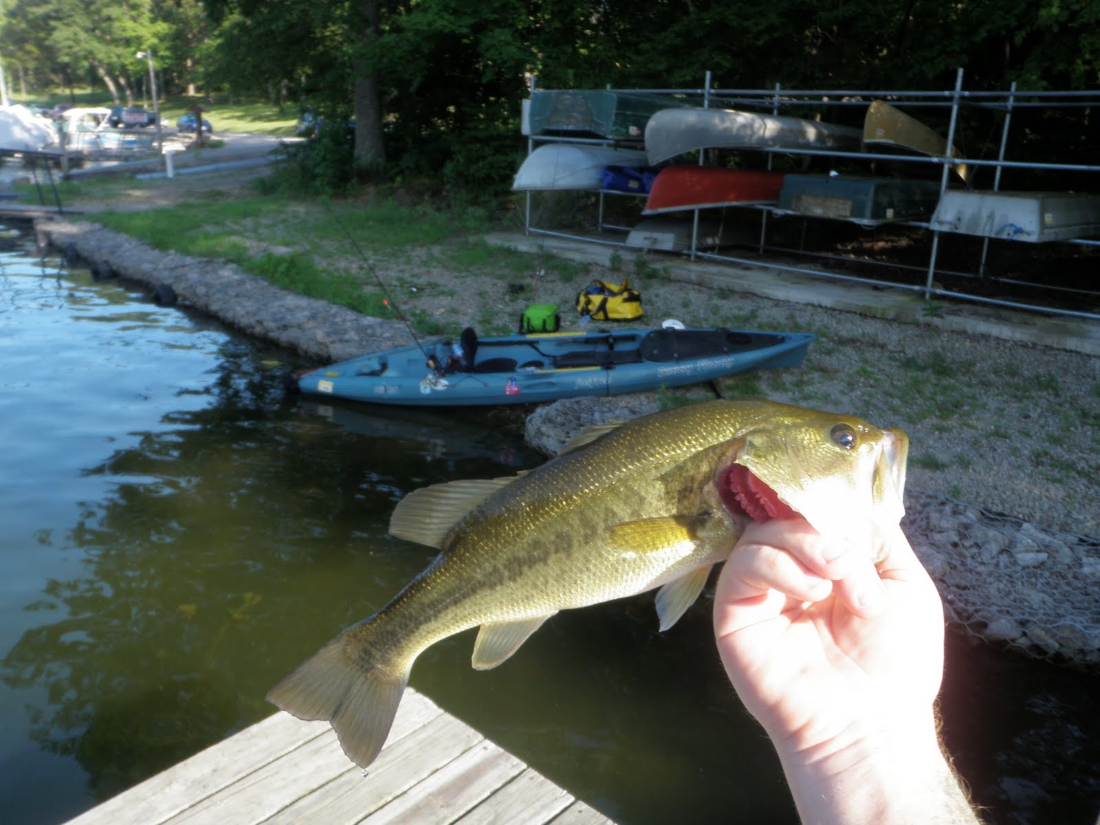 Fish Missouri: Lake Sherwood, Warren County, July 24th, 2010: Panfish ...