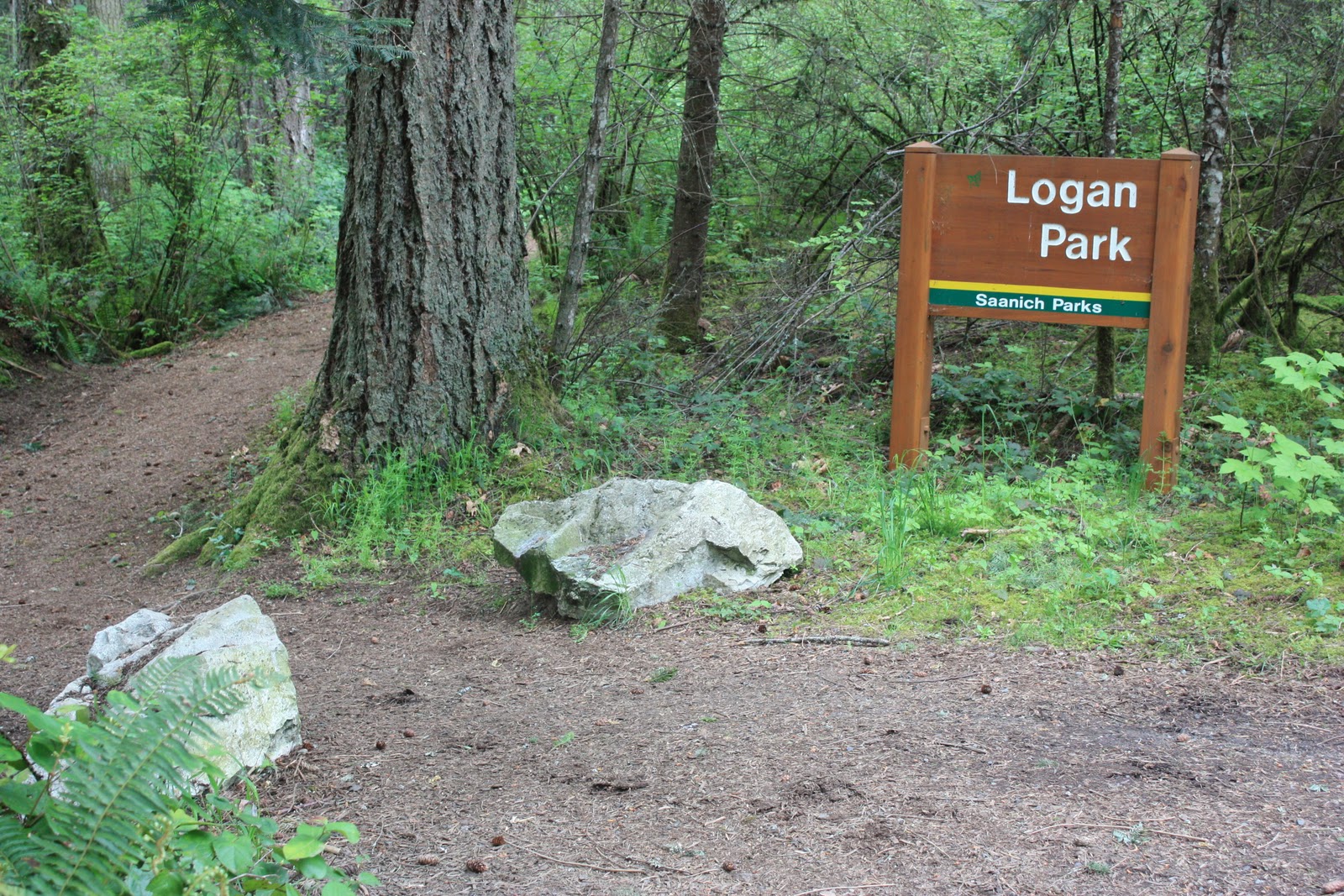 52 weeks, no blisters: Logan Park 18/34 weeks