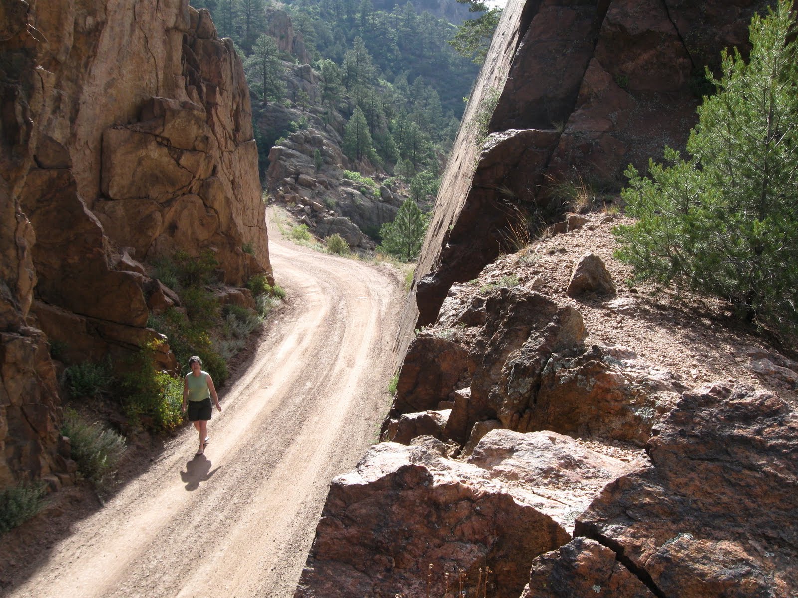 Life in Colorado: The Phantom