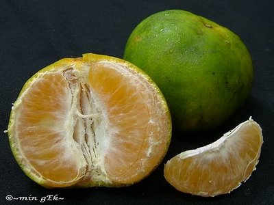 ~Creative Excess Zone~: ~ LiMaU