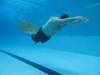 Buceo: Un estilo de vida diferente, necesario: ENTRENAMIENTO PROGRESIVO ...