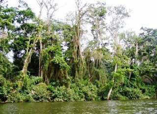 C.$ocial3$ díí $aanDri: CLIMA DE FAUNA ECUATORIAl
