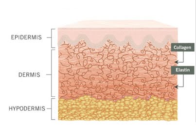 DanielMaidman: Subsurface Scattering