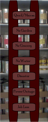 Food Storage and Preservation: Food Storage Ladder