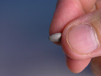 Patrick Keith: Sculpting Tools and Putty